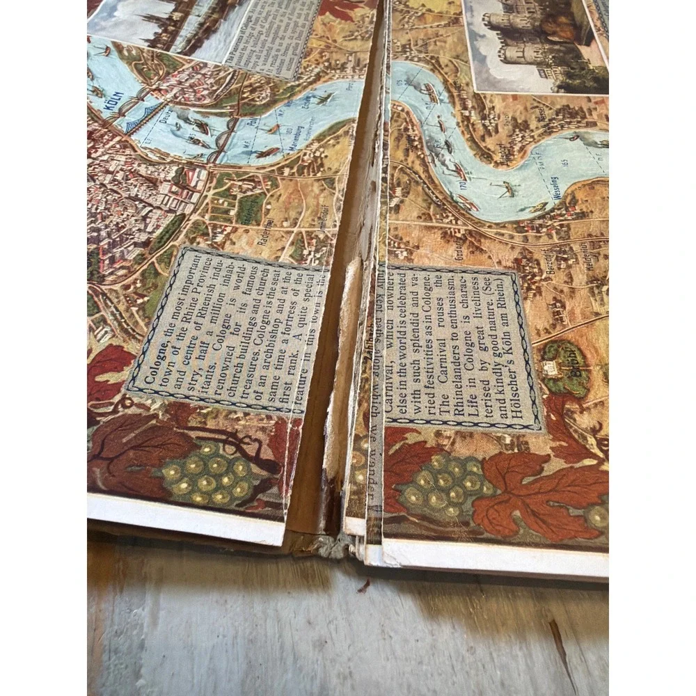 Office | Antique Relief Panorama Of The Rhine Folding Map Sections ...